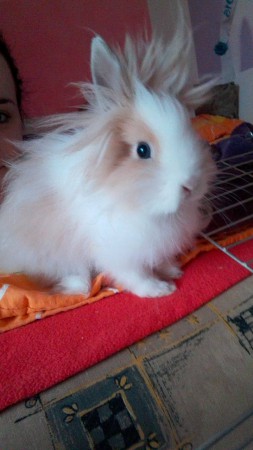 Z nového domova :: Hobby chov od Teríska